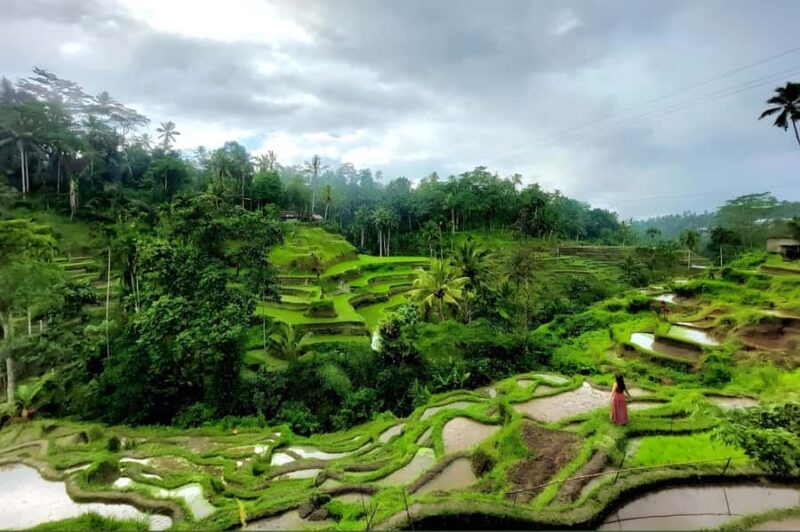 Private Ubud Highlights Midday Tour with Flexible Pickup - The itinerary: a gentle yet comprehensive exploration