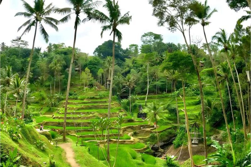 Private Ubud Highlights Midday Tour with Flexible Pickup - Final thoughts: is this tour right for you?