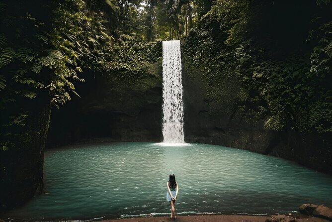 Private Ubud Instagrammable Tour - All Inclusive - The Practicalities: What to Expect