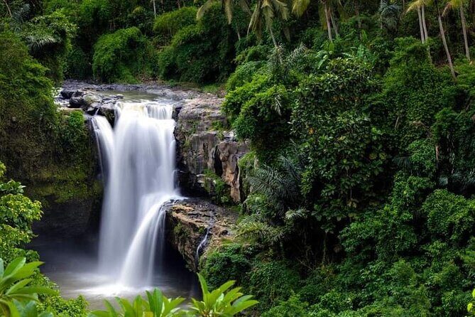 Private Ubud Tour - Why Choose This Tour?