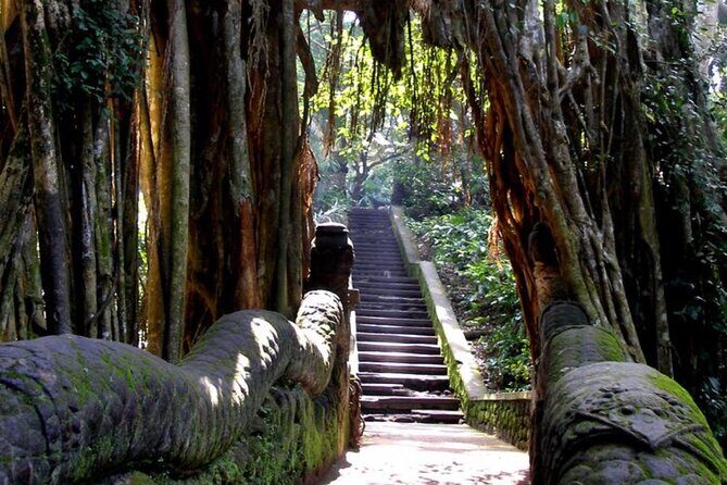 Private Ubud Tour and Quad Bike - A Closer Look at the Experience