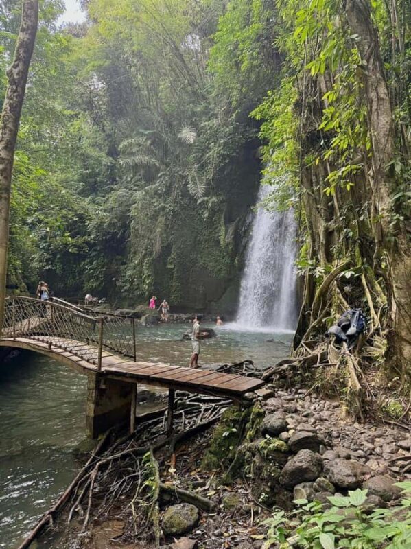 Private Ubud Tour: Sacred Monkeys, Coffee, Temple, Waterfall - Key Points