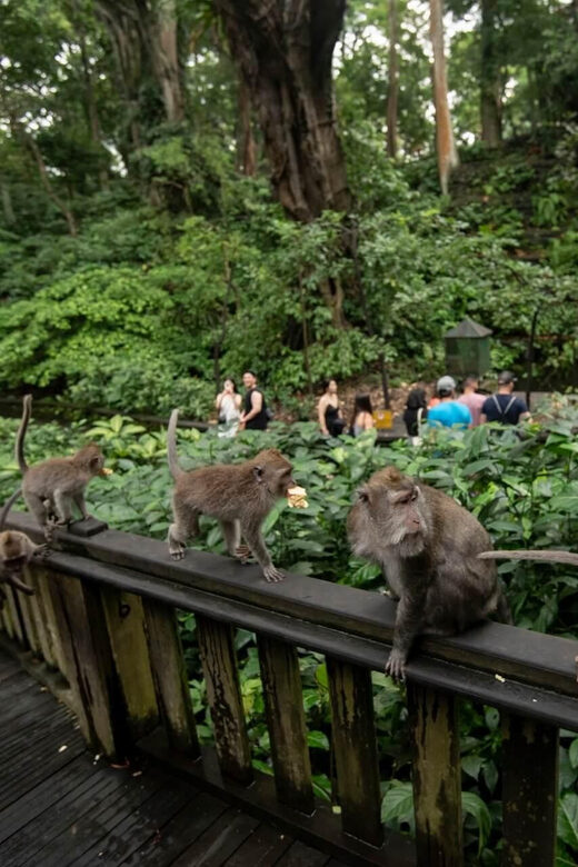 Private Ubud Tour: Sacred Monkeys, Coffee, Temple, Waterfall - Real Traveler Insights and Practical Tips