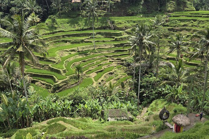 Private Ubud Tour Temples Rice Terraces and Waterfalls - Key Points