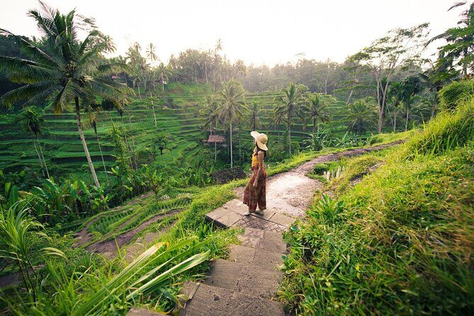 Private Ubud Tour with Monkey Forest and Waterfall - Key Points