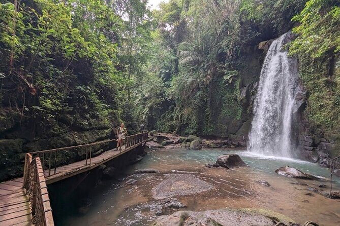 Private Ubud Tour with Monkey Forest and Waterfall - Why Choose This Tour?