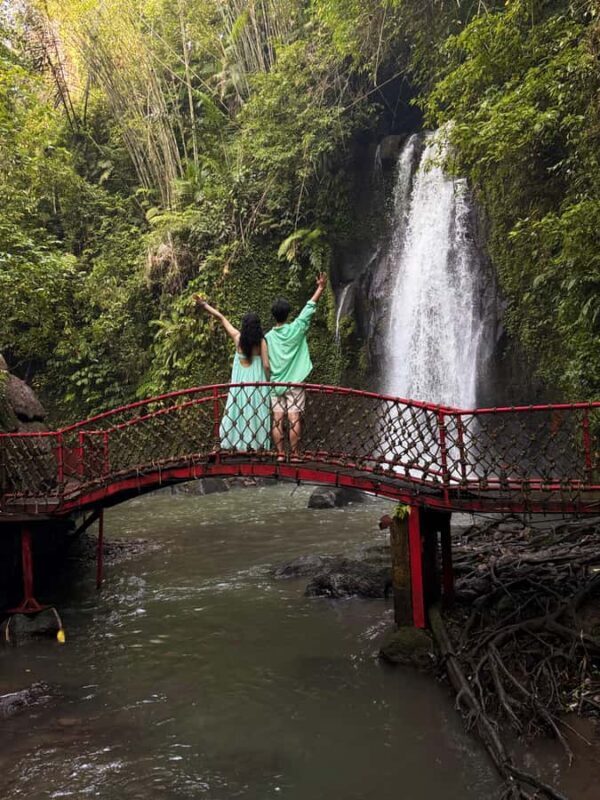 Private Ubud Waterfall Experience with Local Driver-Guide - Key Points