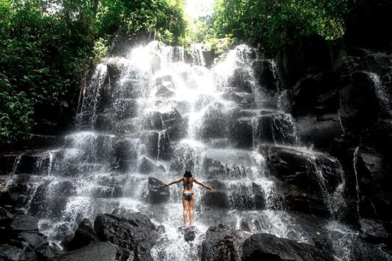 Private Ubud Waterfall Experience with Local Driver-Guide - Exploring Bali’s Waterfalls and Countryside
