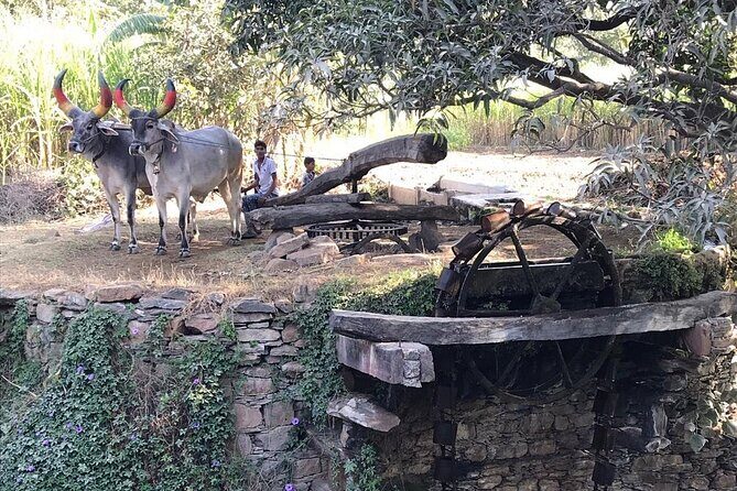 Private Udaipur Village Tour by Tuk-Tuk or by Car - FAQ