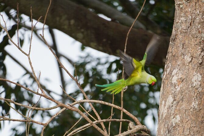 Private Udawalawe Safari Tour with Elephant Transit Home - Authentic Encounters and Guided Expertise