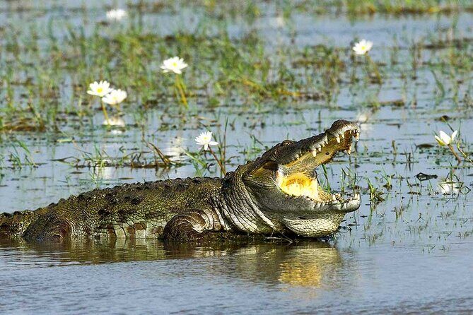 Private Udawalwe Jeep Safari Galle from Bentota Kalura Hotels - FAQ