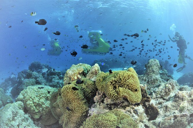 Private Underwater Scooter - The Sum Up: Is It Worth It?
