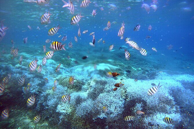 Private Undiscovered 3 Gili Islands Tour - Final Thoughts