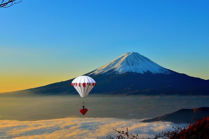Private Unforgettable Mt Fuji Tour with English Speaking Driver - Why Choose This Mount Fuji Tour?