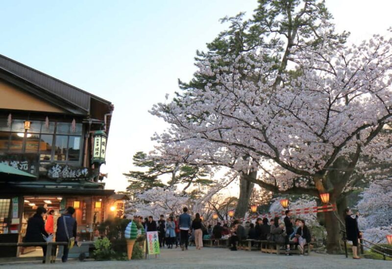 Private & Unique Kanazawa Cherry Blossom "Sakura" Experience - Who Will Love This Tour?