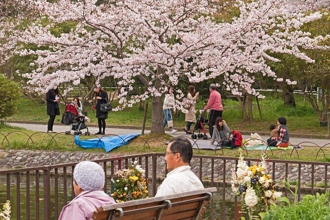 Private Unique Kobe Cherry Blossom Sakura Experience - Exploring the Itinerary in Detail