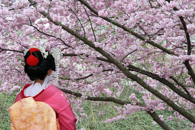 Private & Unique Tokyo Cherry Blossom "Sakura" Experience - FAQ