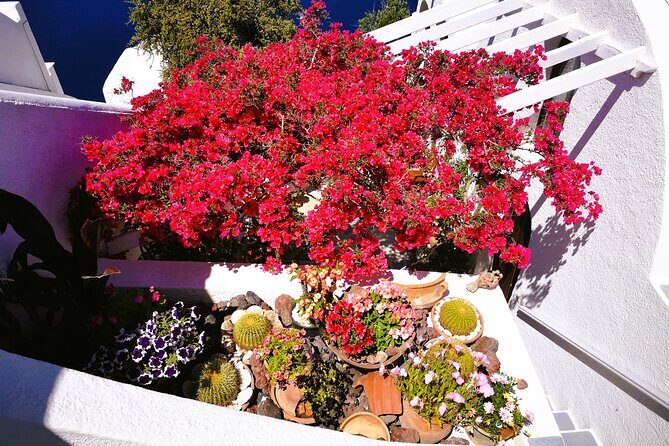 Private Unseen Authentic Santorini Half Day Shore Excursion - Why Choose This Tour?