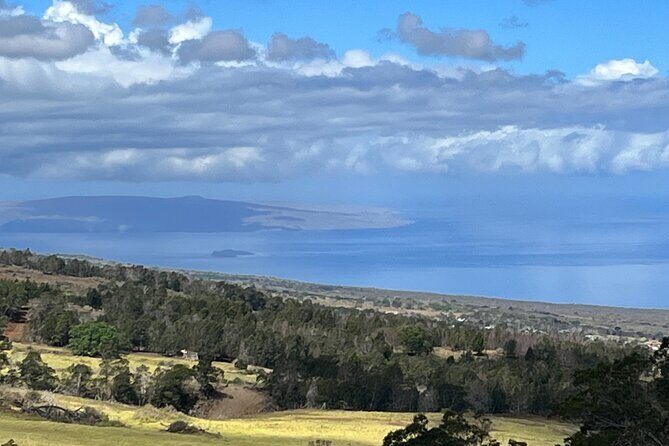 Private Upcountry Farm Tour on Maui - Who Will Love This Tour?