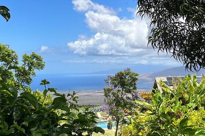 Private Upcountry Farm Tour on Maui - The Sum Up