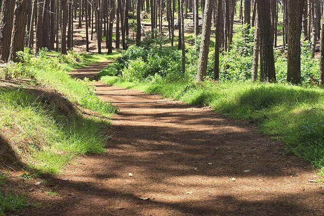 Private Upcountry Hiking Tour - An In-Depth Look at the Tour Itinerary