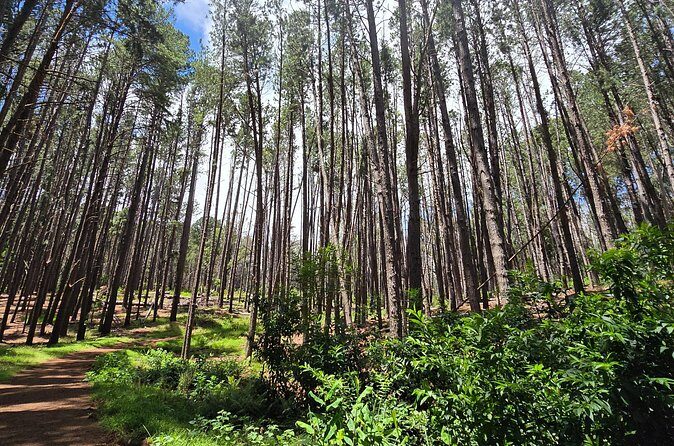 Private Upcountry Hiking Tour - Accessibility and Practical Details