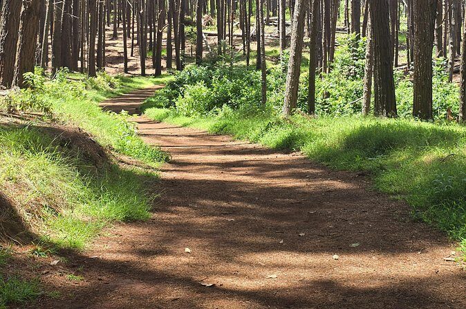 Private Upcountry Hiking Tour - Frequently Asked Questions