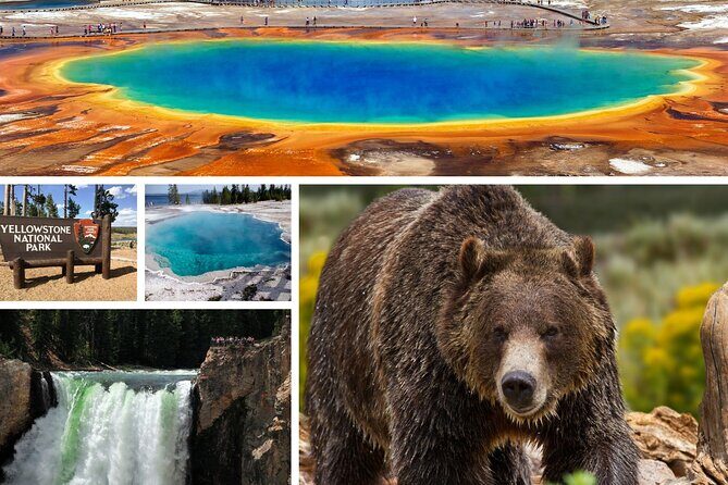 Private Upper Loop Tour of Yellowstone National Park - Introduction