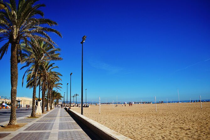 Private Valencia Beach Segway Tour - Authentic Insights from Reviewers