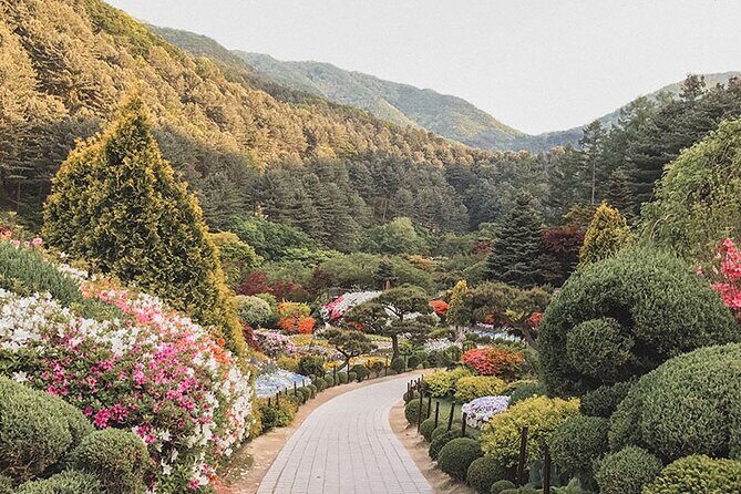 Private Van Nami Island, Petite France, Rail Bike (Up to 14 pax) - Key Points