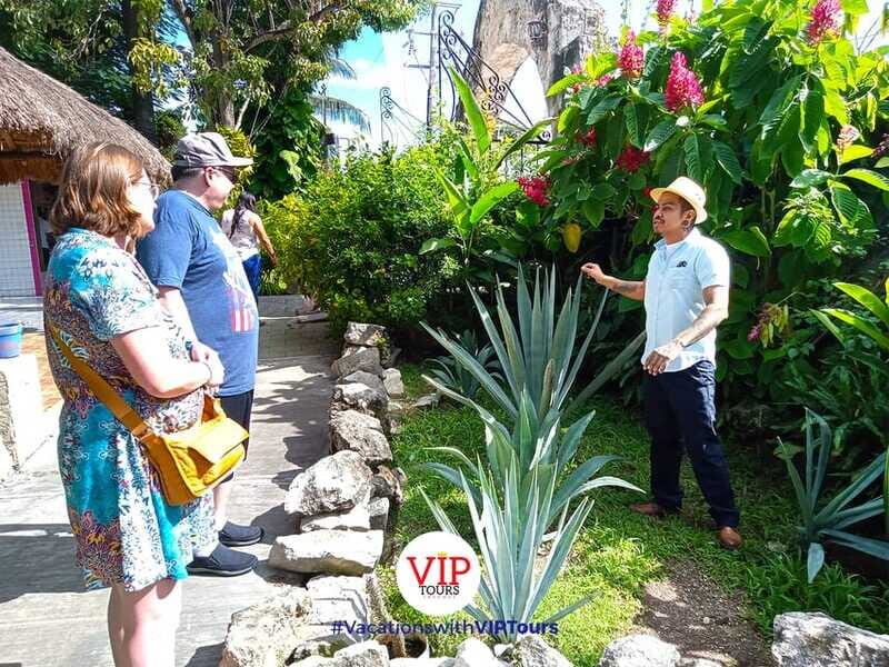 Private Van Service. Tasting the best of Cozumel - FAQ