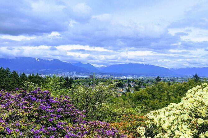 Private Vancouver Compact City Tour by Land and Water - The Sum Up: Who Will Love This Tour?