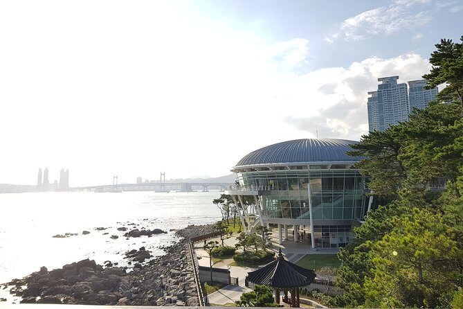 (Private Vehicle) Busan Tailored Tour: Curation for Food,Design,History,Culture - Huinnyeoul Culture Village: Charming Ocean Views and Ramen