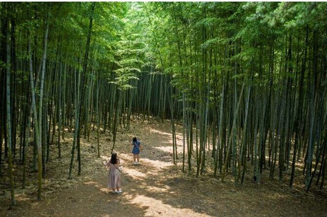 (Private Vehicle) Busan Tailored Tour: Curation for Food,Design,History,Culture - The Value of the Experience