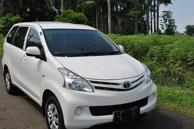 Private Vehicle with Driver at Bali Free & Easy-10 Hours - Who Should Consider This Tour?