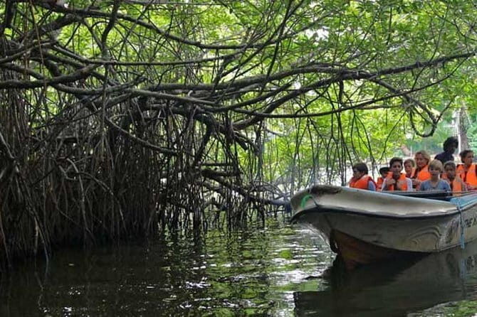Private Vehicle with Driver-Guide for any day Tour in Sri Lanka - Important Practicalities & Considerations