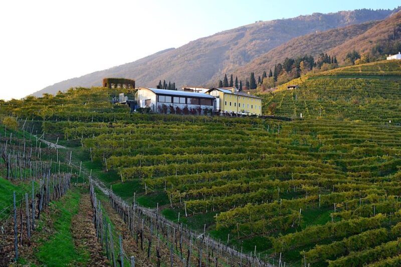 Private Venetian Hills Wine Tour - Key Points