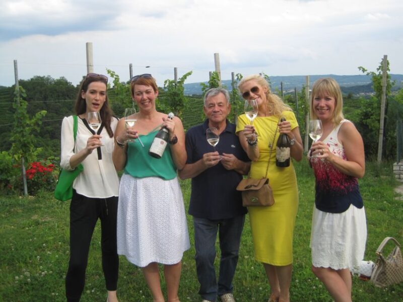 Private Venetian Hills Wine Tour - What Makes This Tour Stand Out?