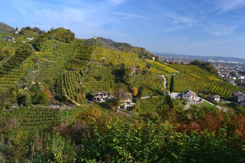 Private Venetian Hills Wine Tour - Considering the Cost: Is It Worth It?