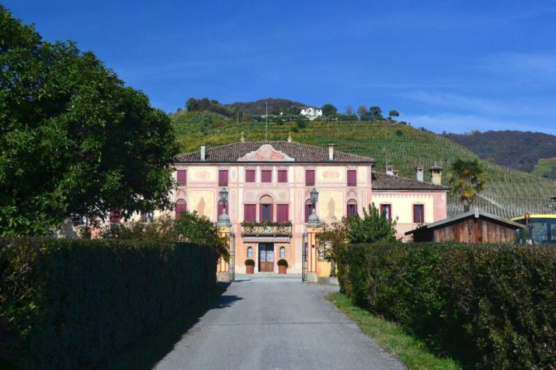 Private Venetian Hills Wine Tour - Practical Tips for the Tour
