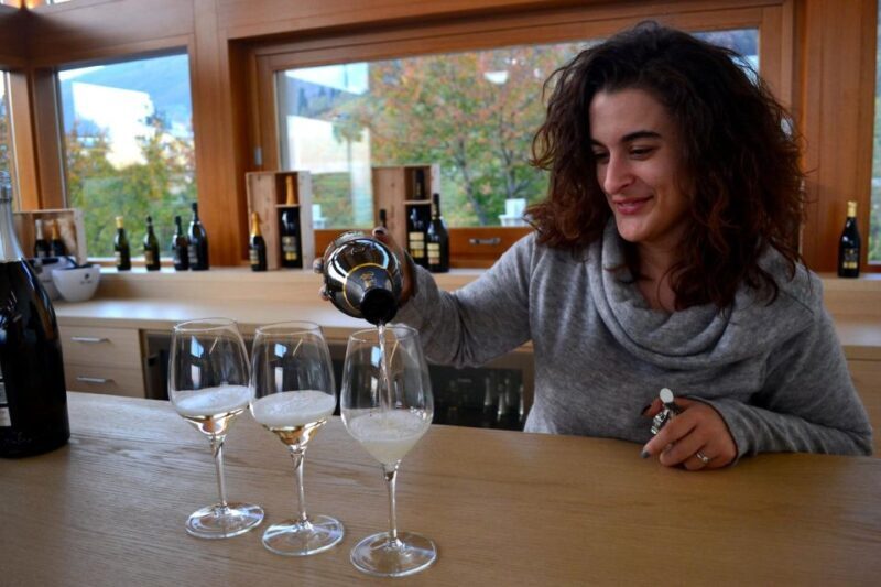 Private Venetian Hills Wine Tour - Final Thoughts: Who Will Love This Tour?