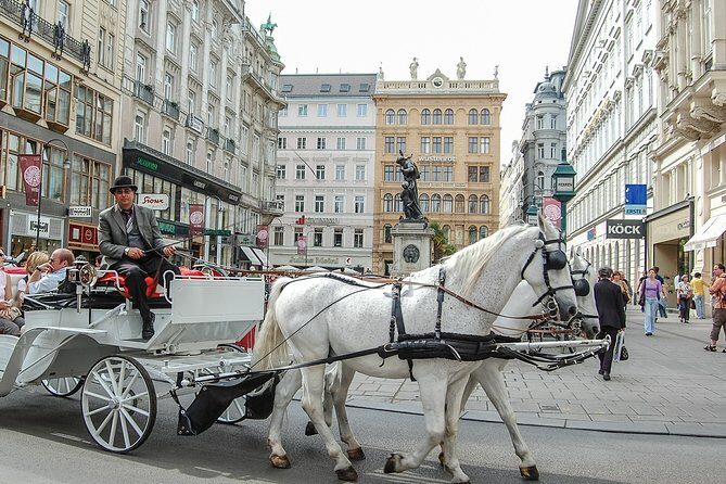 Private Vienna City Tour with Schonbrunn Palace Visit - Exploring Vienna through a Private Guided Tour