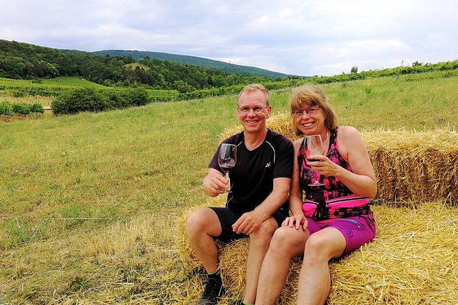Private Vienna Woods Wine Tour - Authentic Feedback from Past Travelers