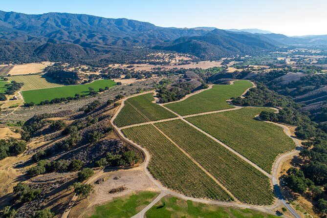 Private Vineyard Tour and Wine Tasting - Analyzing the Value