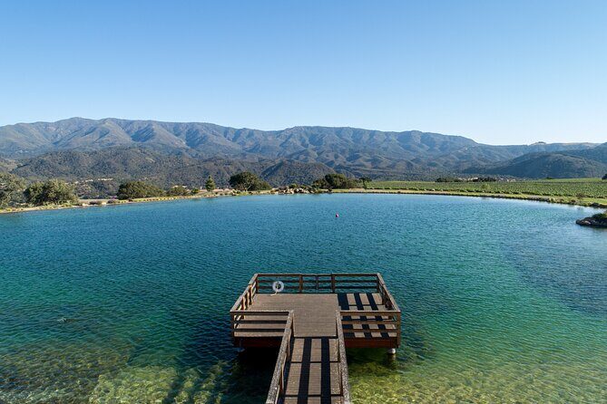 Private Vineyard Tour and Wine Tasting - Who Will Love This Tour?