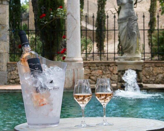 Private Vineyard Tour of Provence from Nice - Key Points