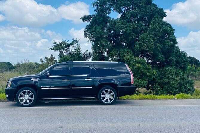 Private VIP Luxury Transfer PUJ Airport to Bavaro And Uvero Alto - FAQ