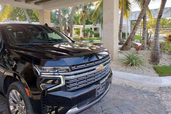 Private VIP Shuttle Service in Punta Cana - What Makes This Shuttle Service Stand Out?