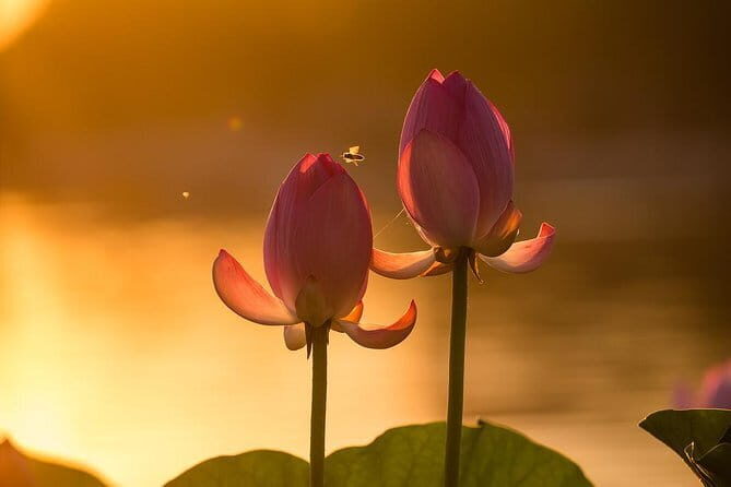 Private VIP Sightseeing Beijing City Day Tour with Various Lunch Choices - Who is this tour best for?