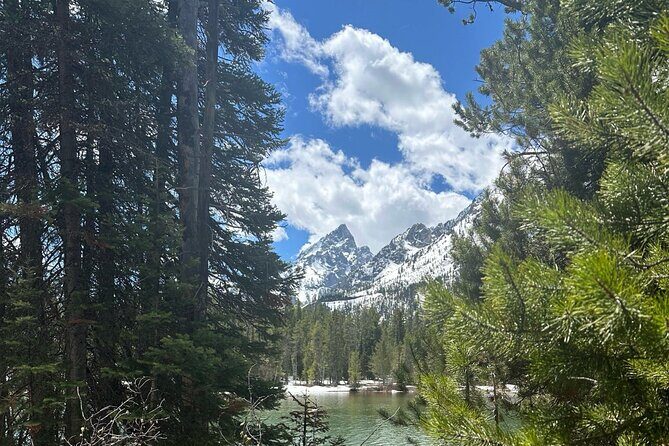 Private VIP Tour of Grand Teton National Park - What’s Great About This Tour?